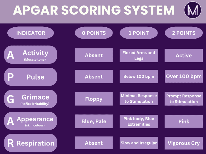 Your Guide to APGAR on the NCLEX - Medic Mind US